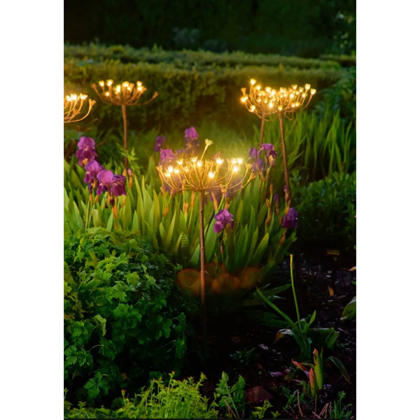 Solar Wild Fennel, Set of 3 | Paperless Post Party Shop